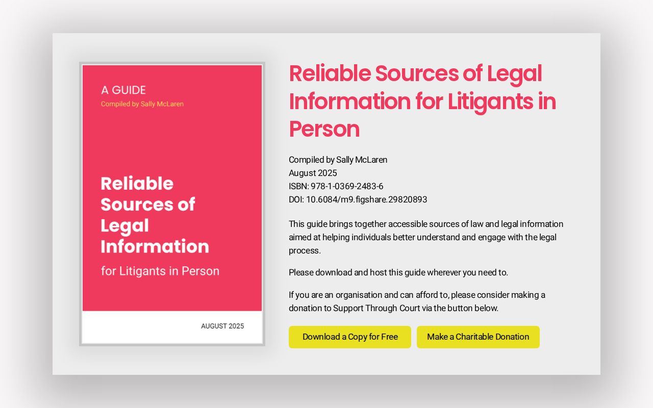 Litigants in Person Guide